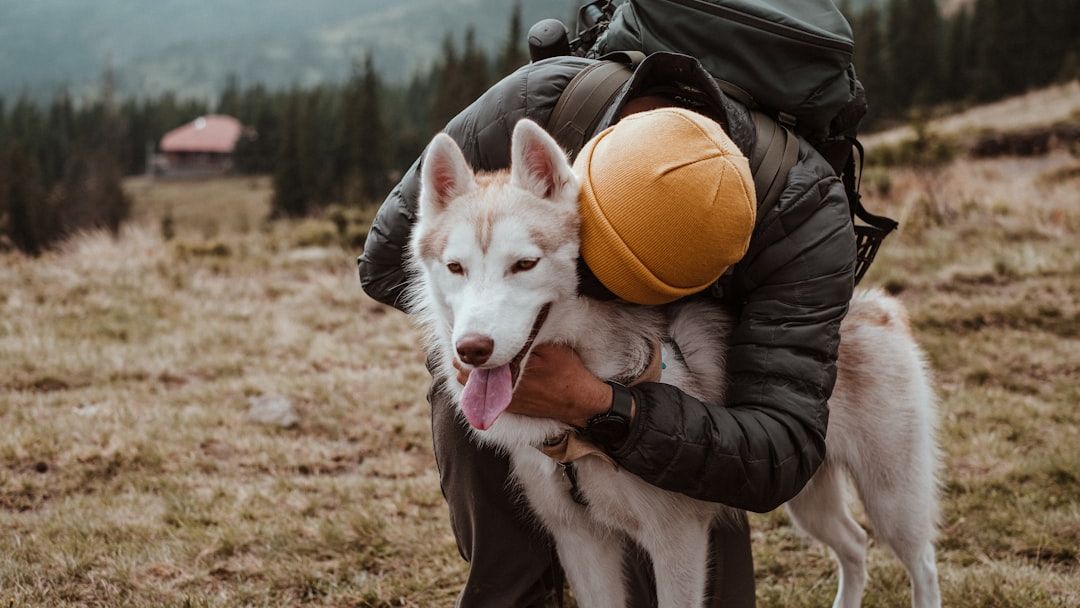 5 High-Maintenance Dog Breeds That Exhaust Owners (And 5 Low-Effort ...