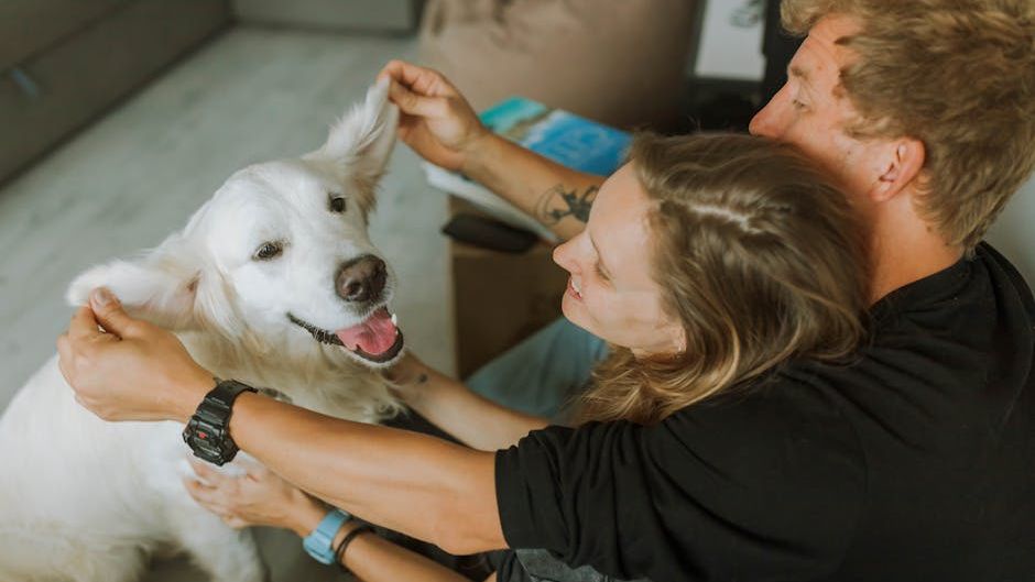 Psychology Says Some Dogs Love Too Deeply for Emotionally Unavailable ...